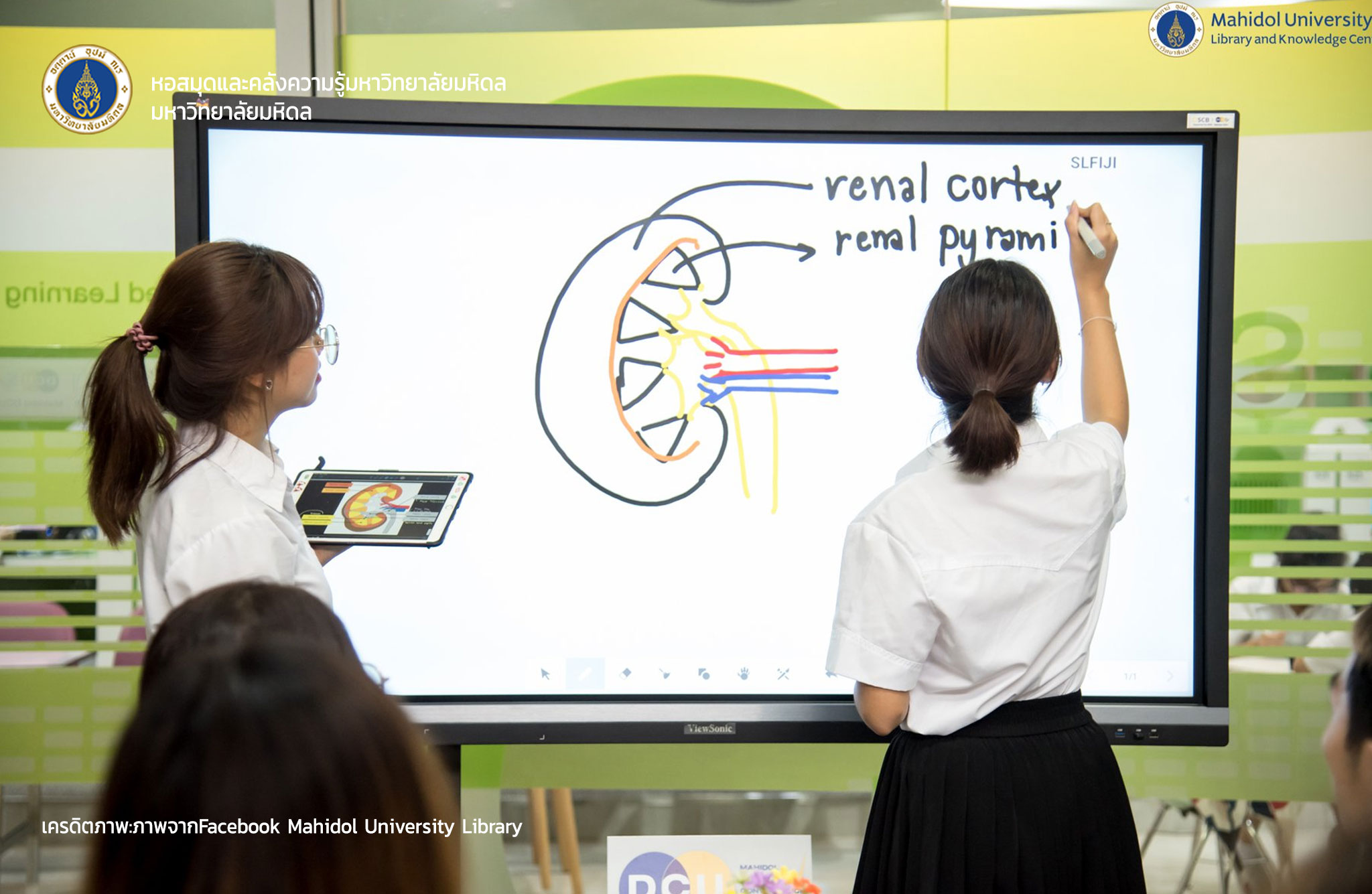 หอสมุดและคลังความรู้มหาวิทยาลัยมหิดล - imagevisual